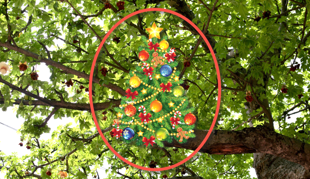 Kalpataru: My Hindu Holiday Tree That Spreads Joy Through Selfless ...