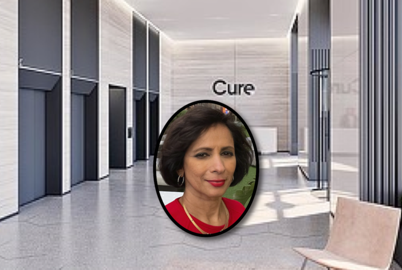 Indian American Seema Kumar Named CEO of New York City-based Cure ...