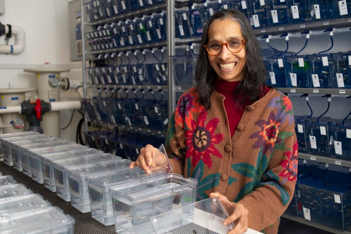 Indian American Microbiologist Lalita Ramakrishnan Awarded 2024 Robert ...