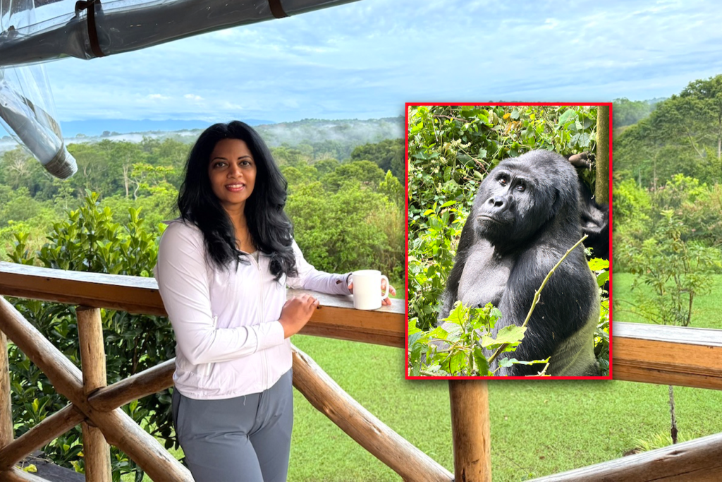 My Ugandan Odyssey: The Magic of Meeting Primates at the Center of the ...