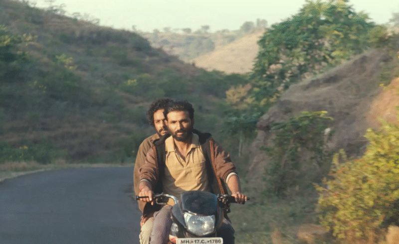 A Melancholic Ripple: 'Cactus Pears' is a Rare and Tender Exploration ...